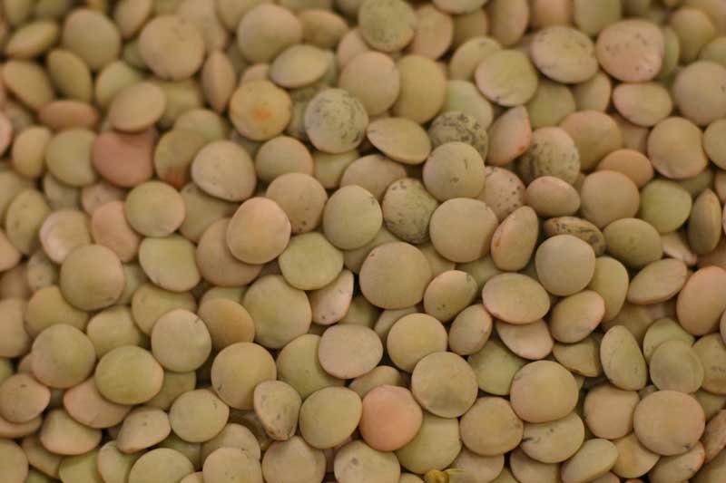 Lipari Foods